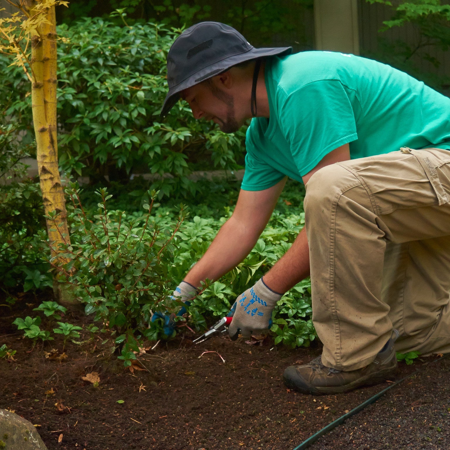 Eradicate weeds – Rexius