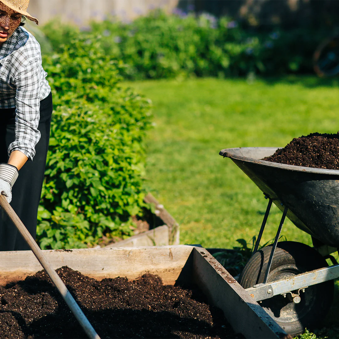Organic Garden: A Journey towards Sustainable Living – Rexius