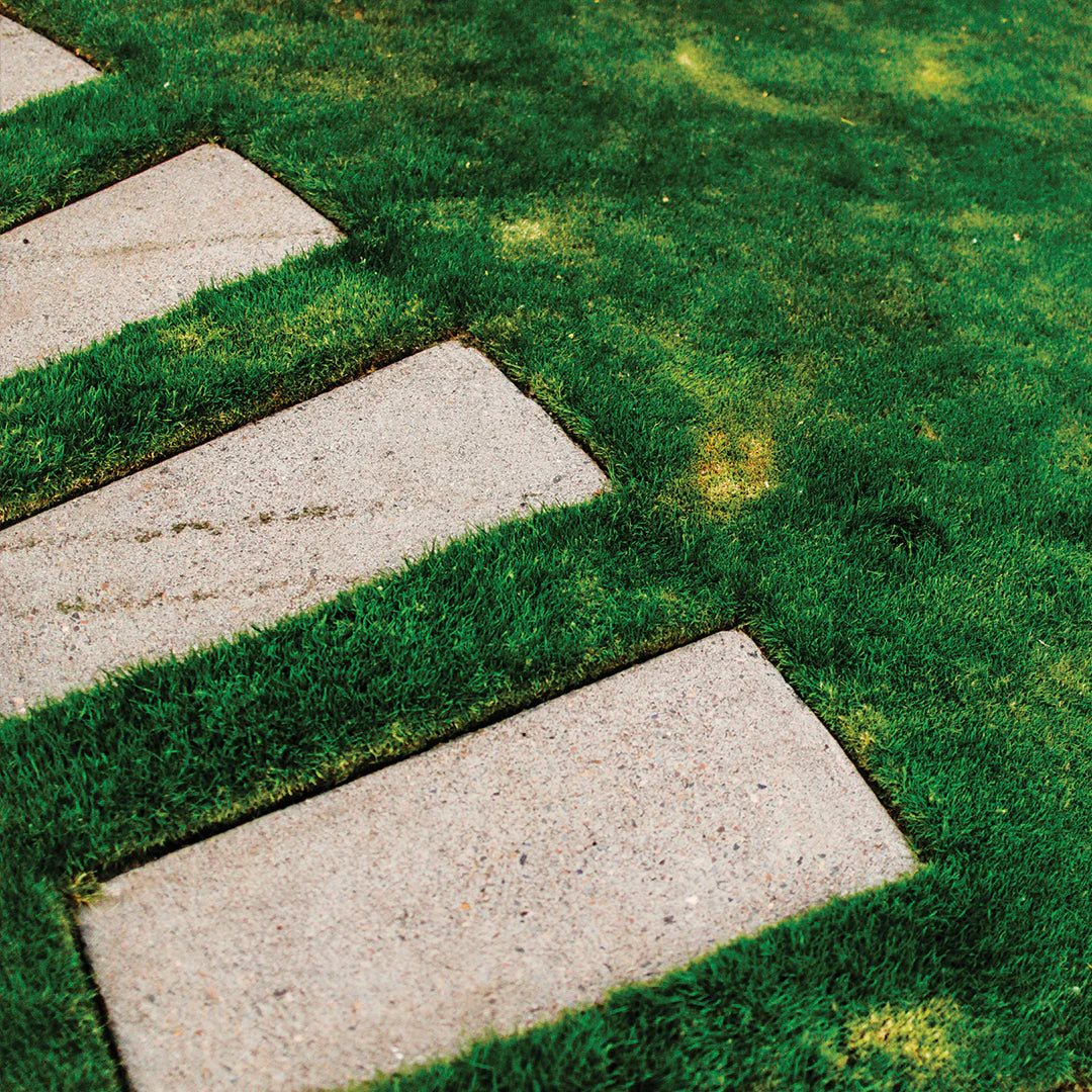 The Benefits of Turf Start Soil for a Healthy, Lush Lawn – Rexius