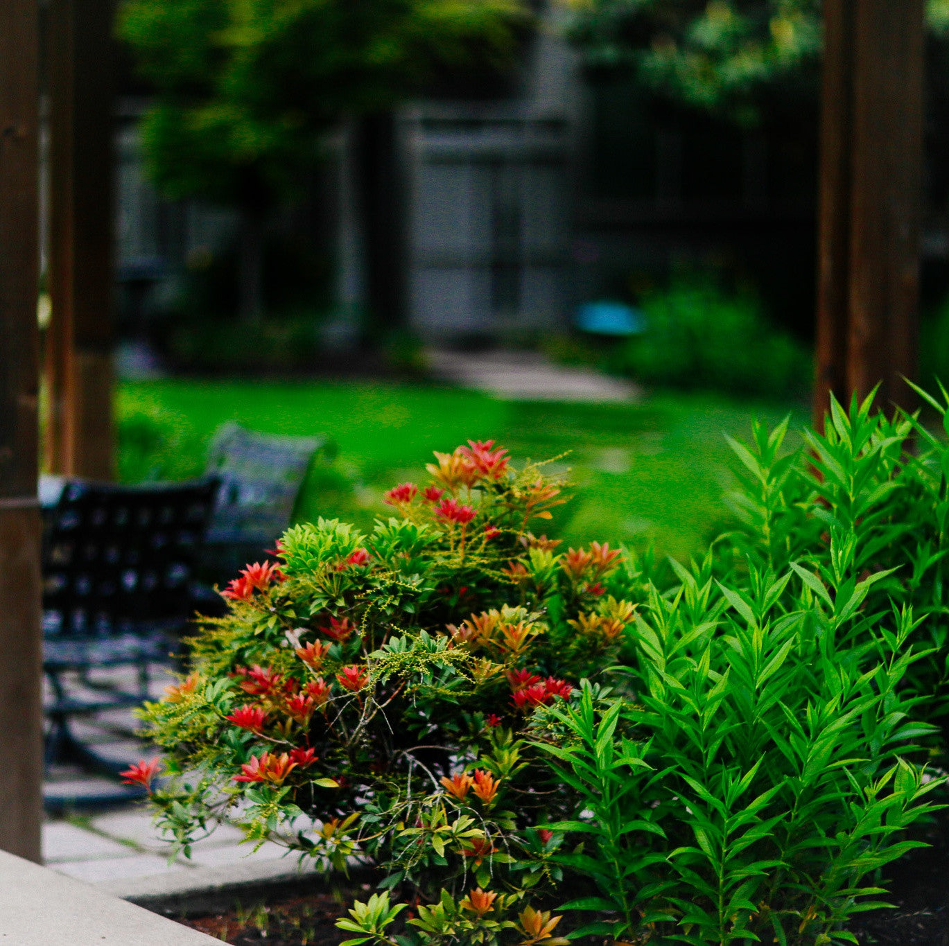 Continue planting landscaping material – Rexius