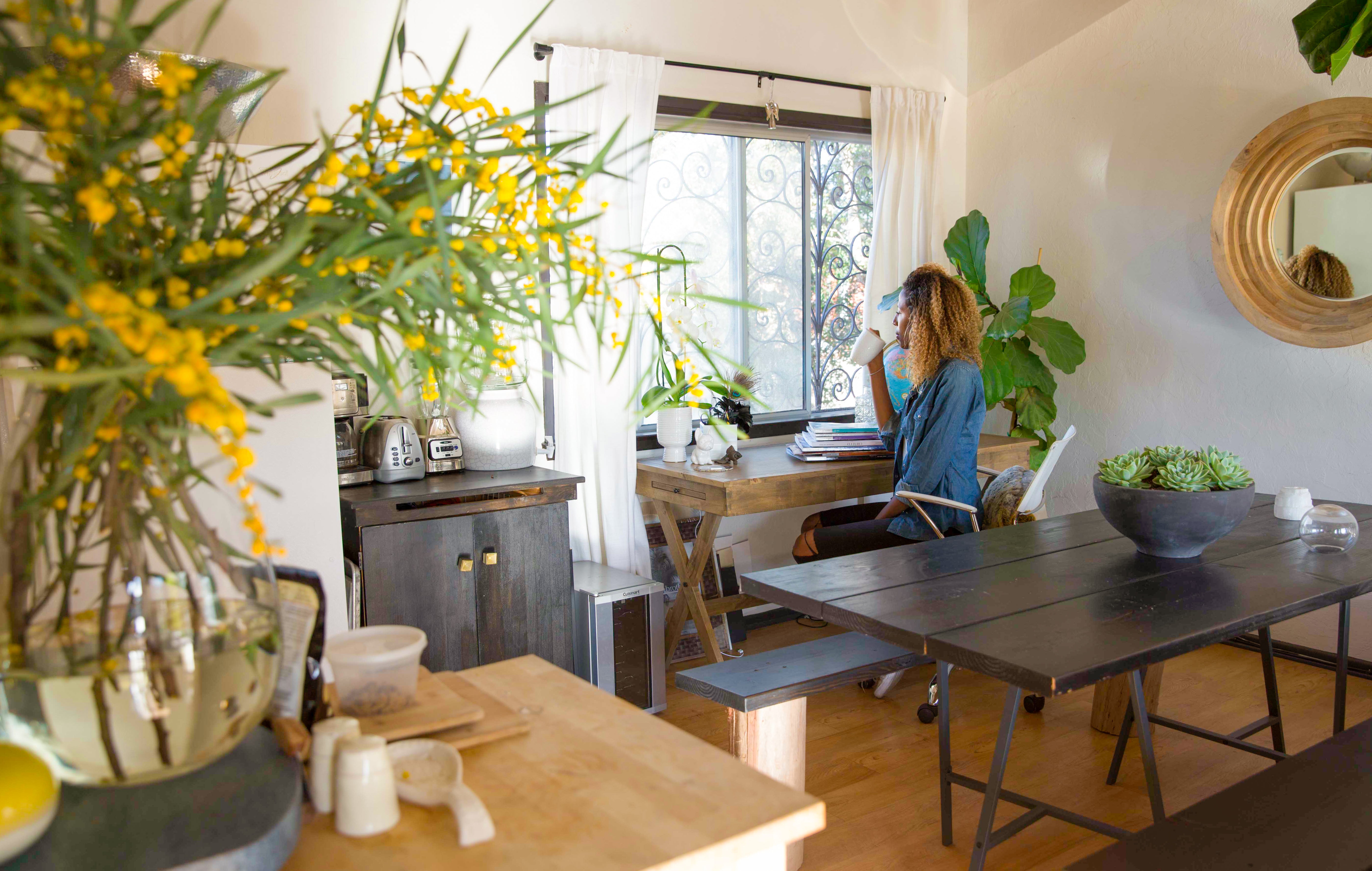 Sucker for Succulents – Rexius