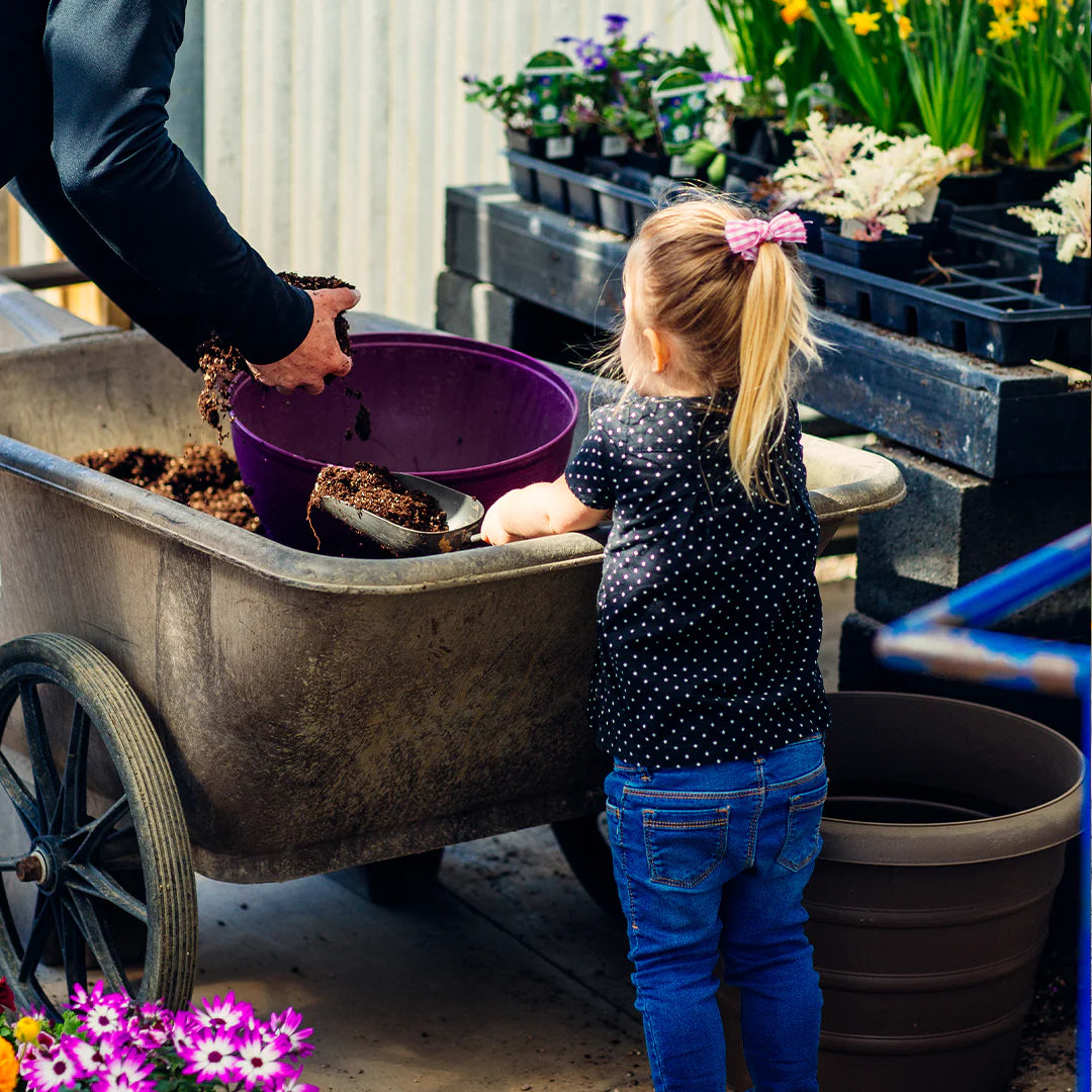 The Ultimate Guide to Organic Potting Soil: Benefits and Best Practice ...
