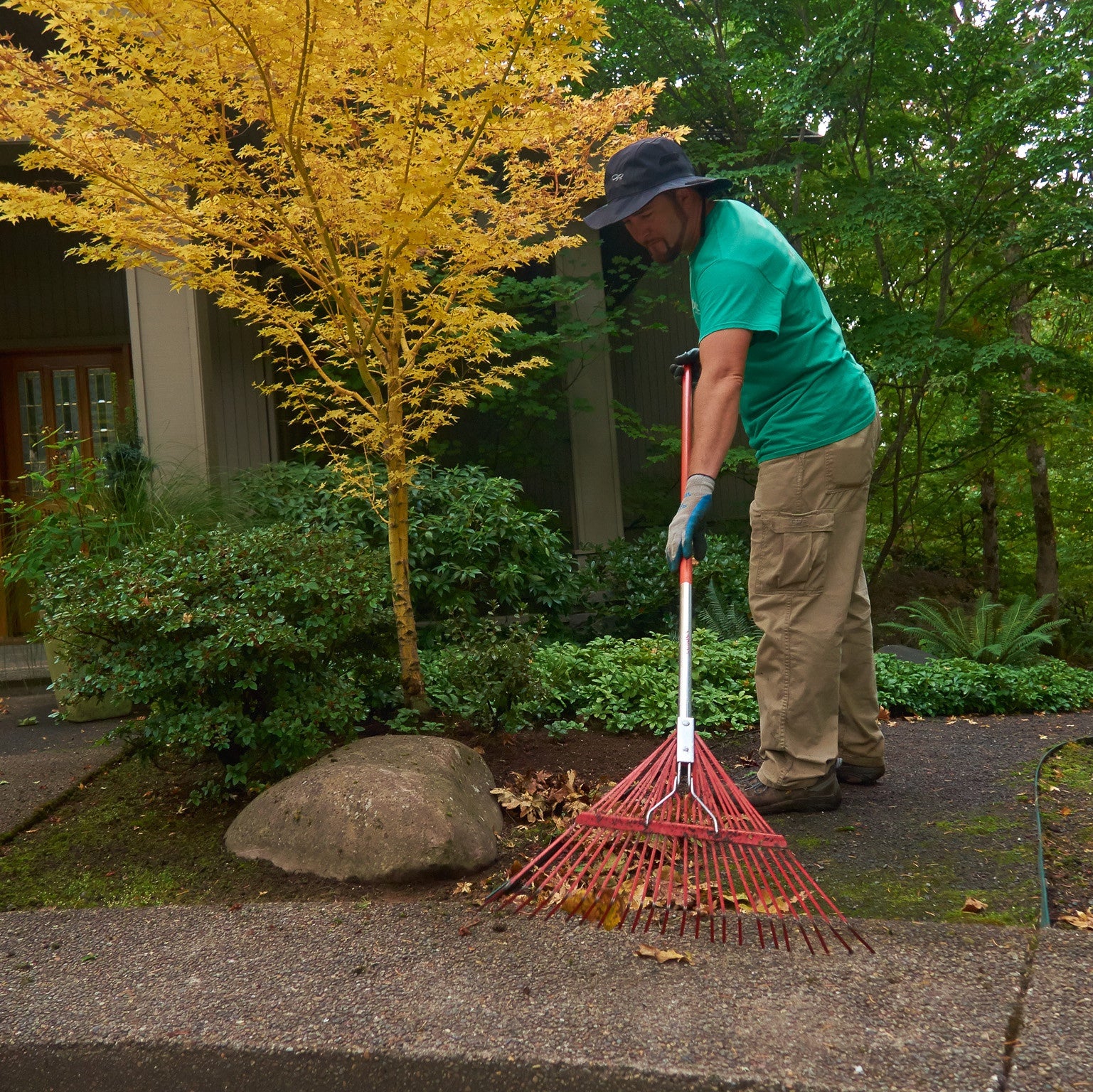Rake and recycle leaves – Rexius