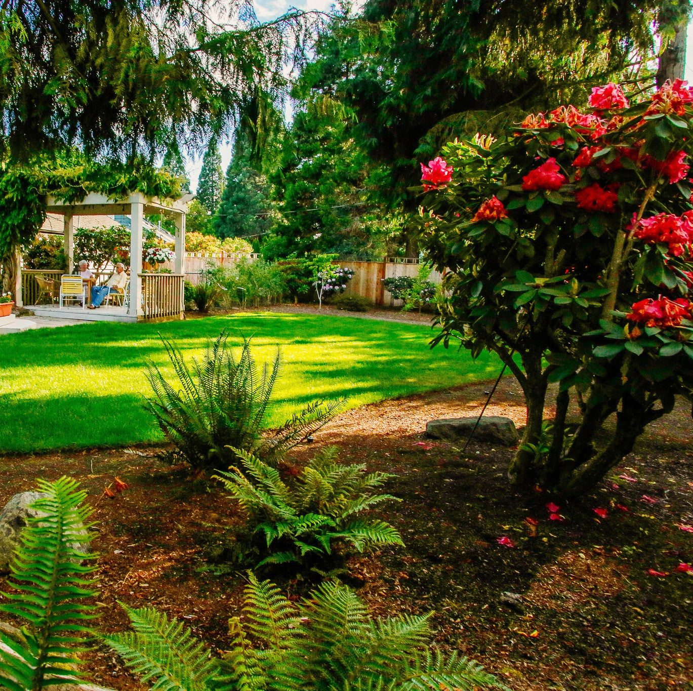 Prepare your soil – Rexius