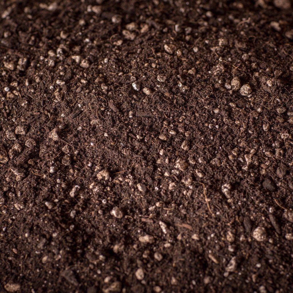potting soil texture